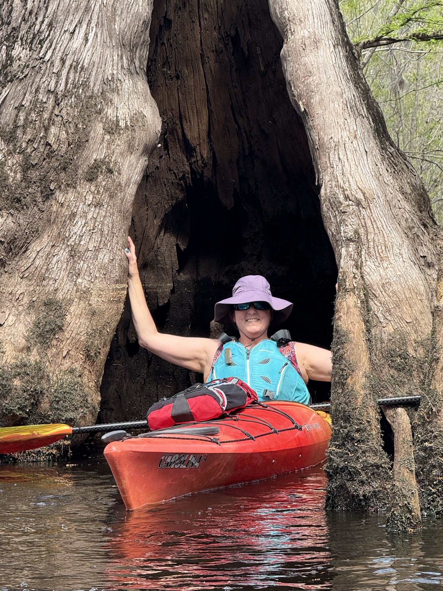 Three Sisters Swamp- Black River – My Little Red Bike